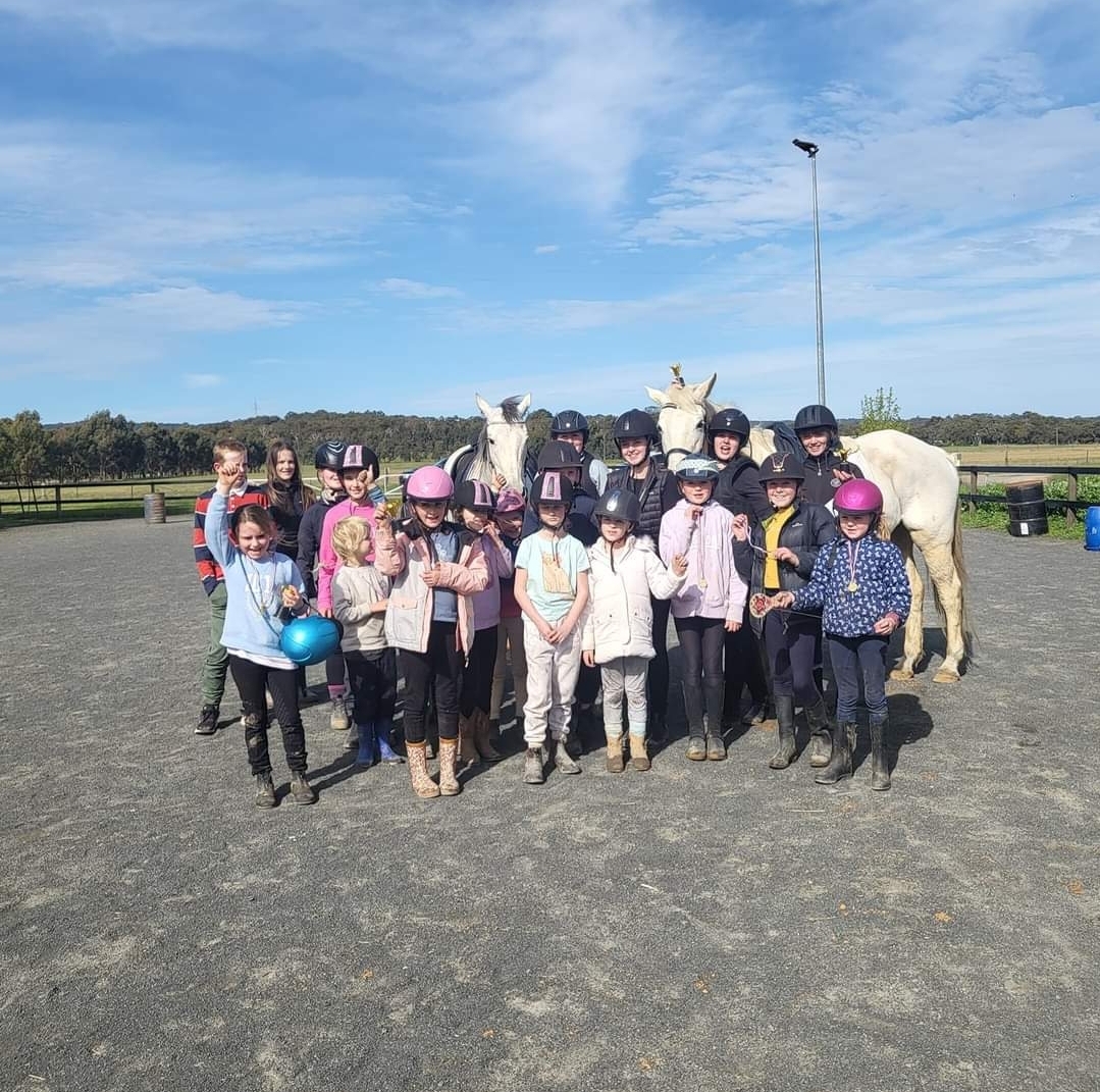 Home | ajayequestrian